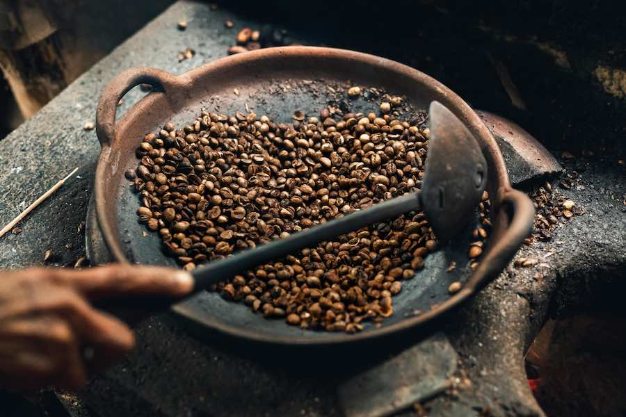 Apa Saja Jenis Kopi Luwak Indonesia ? | Sarang Coffee